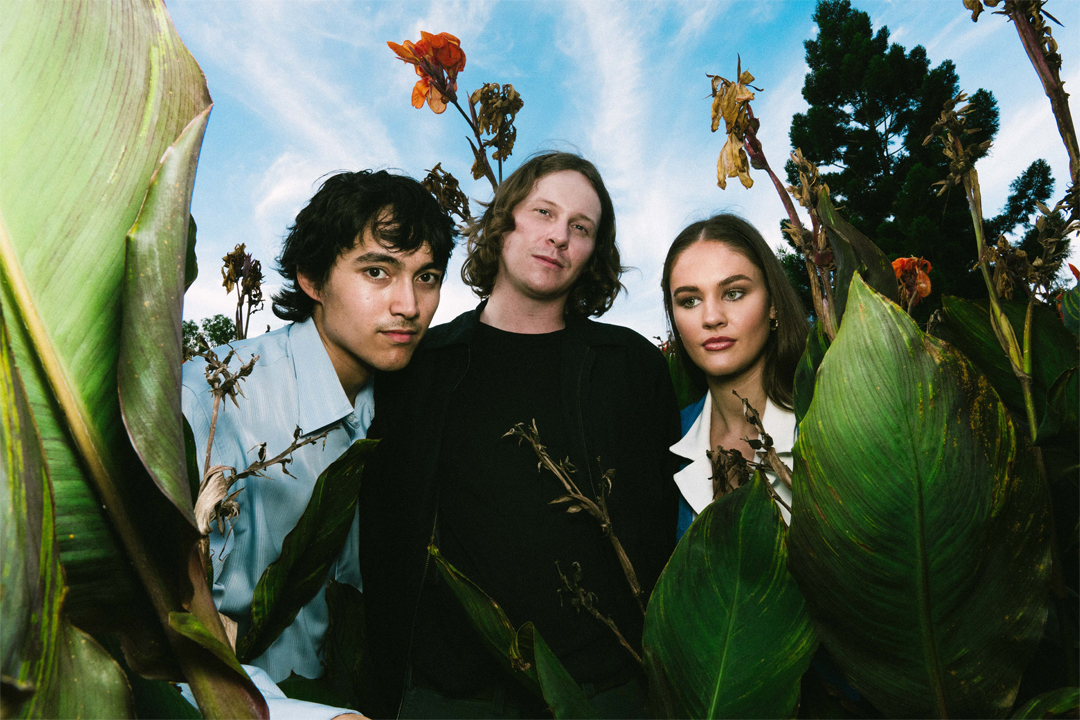 Bean Magazine - Lonely Lands Agency